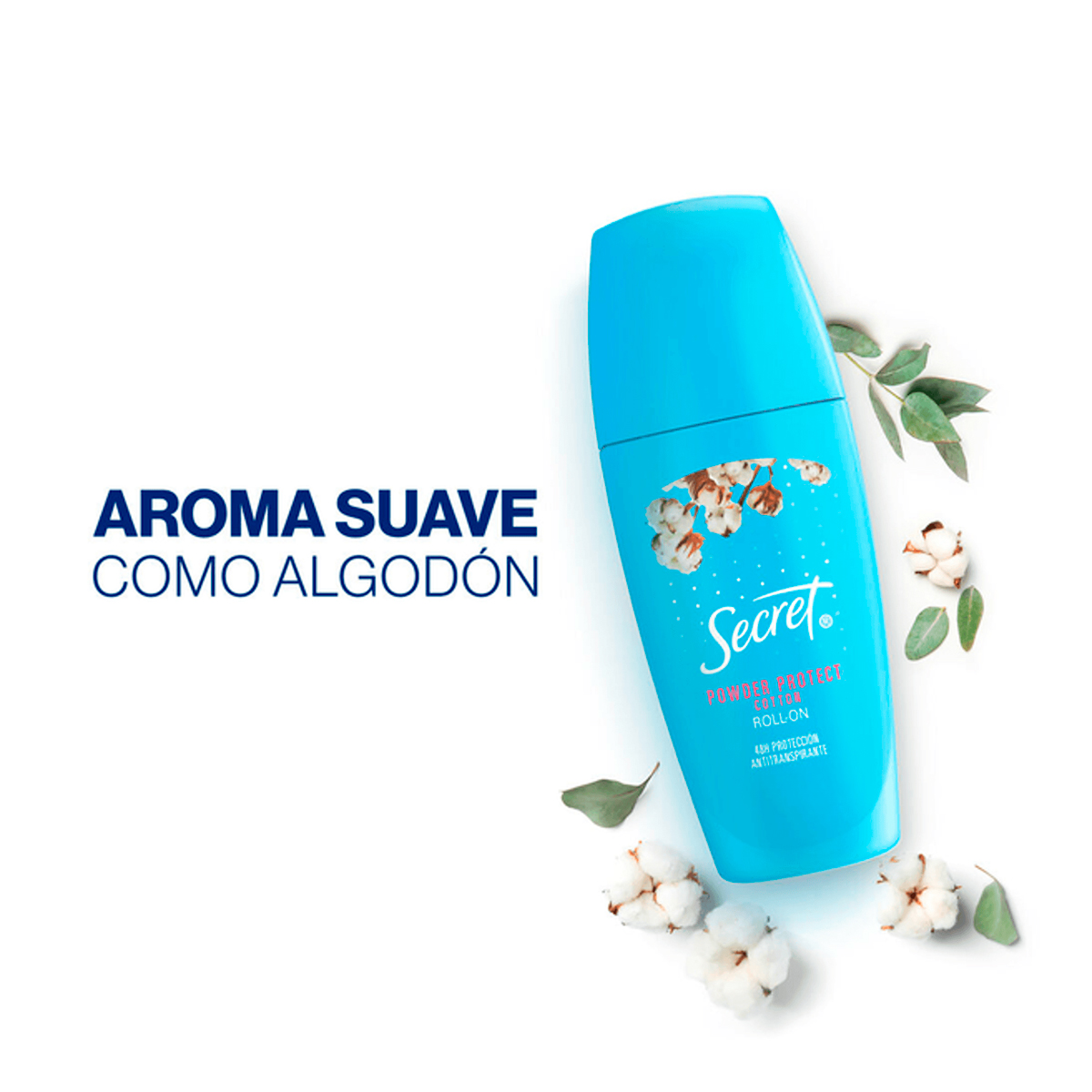 Básicos en Alimentos|DEO SECRET CLEAR POWDER M ROL 60 MLL